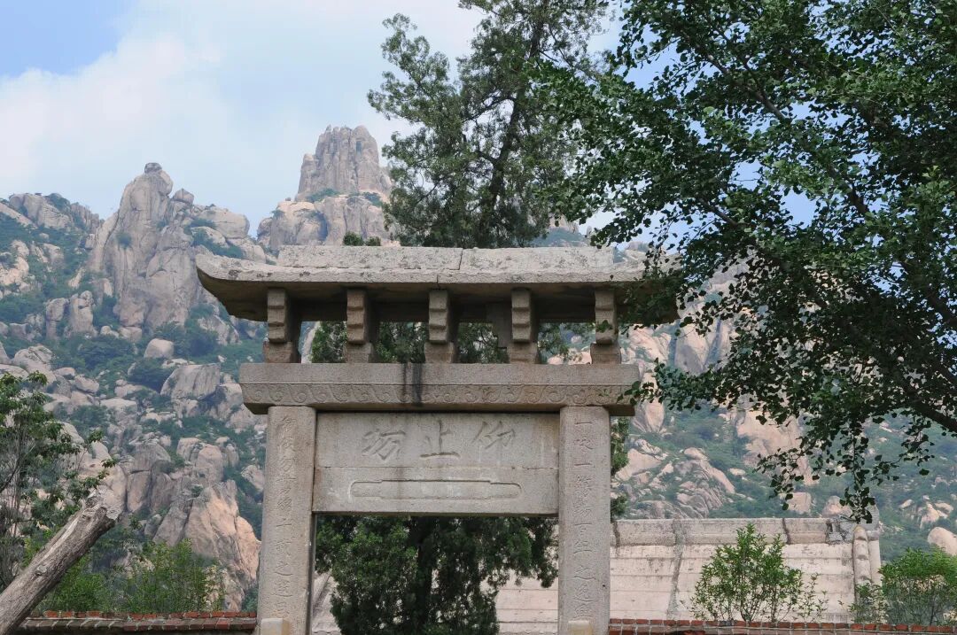 连续8年！是五莲！ - 日照频道