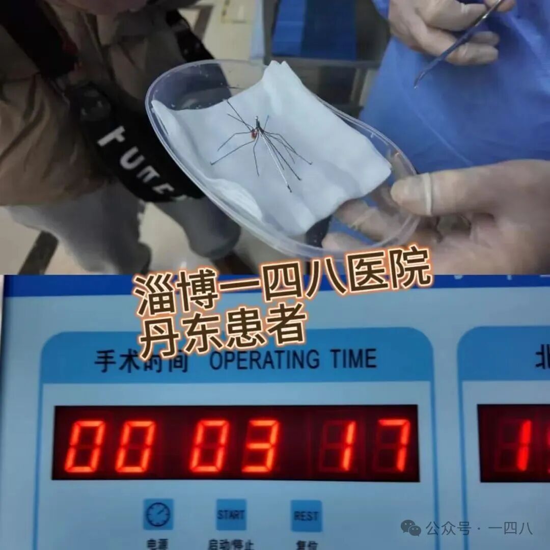 淄博一四八医院成功为丹东、临沂患者取出疑难滤器 - 鲁网·淄博