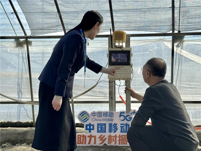 我的移动故事｜数字赋能田间焕新颜 智慧大棚托起菜农增收新希望 - 鲁网财经频道