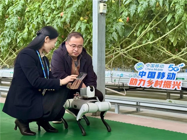 我的移动故事｜数字赋能田间焕新颜 智慧大棚托起菜农增收新希望 - 鲁网财经频道